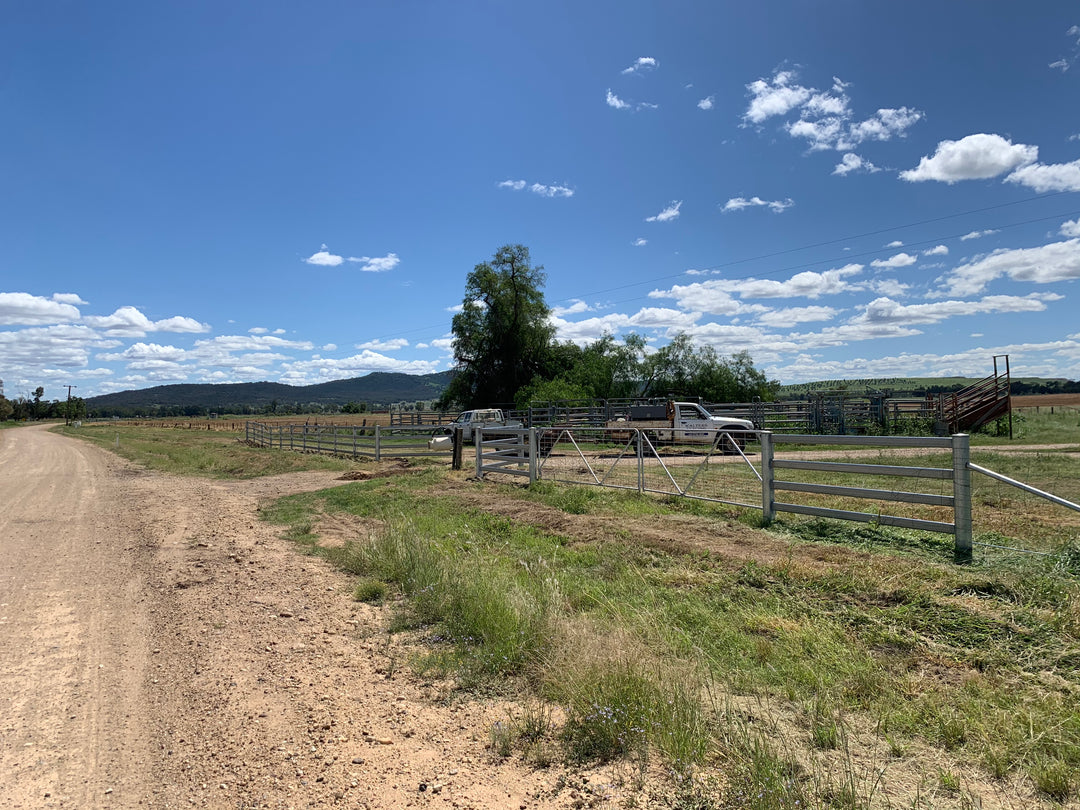 Steel Entrances and Panels – Walters Fencing