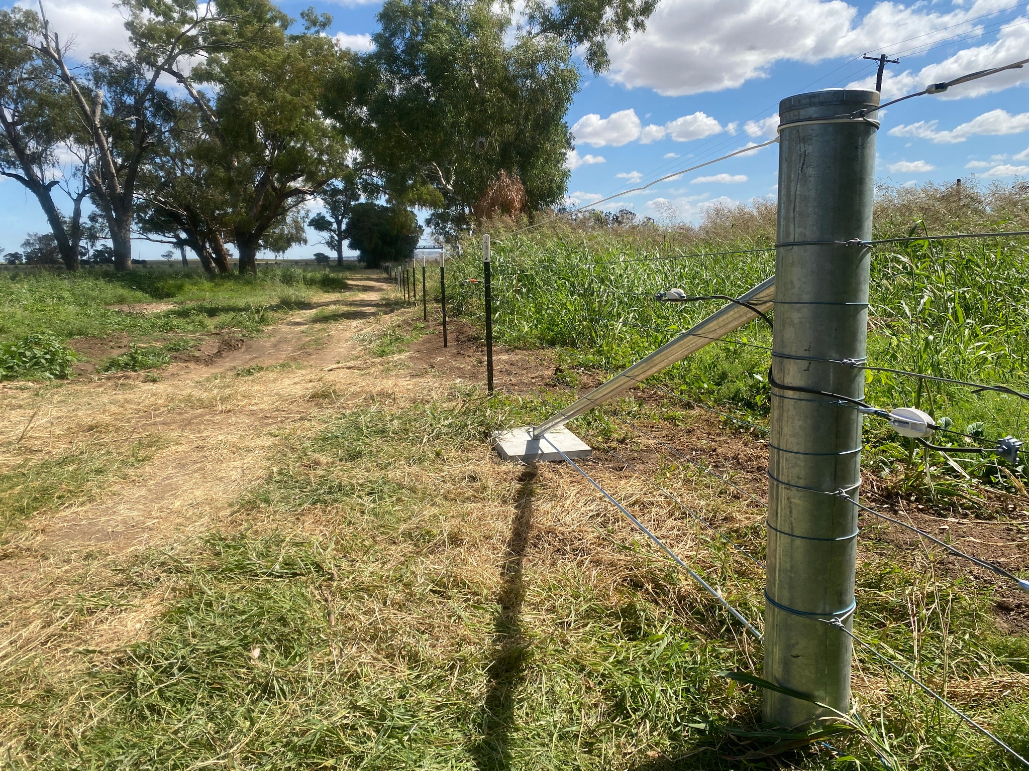 Boundary / Internal Fencing – Walters Fencing