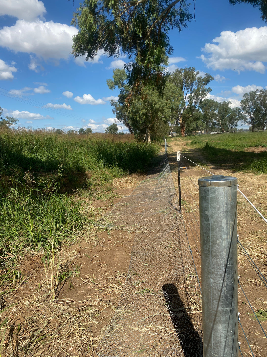 Boundary / Internal Fencing – Walters Fencing
