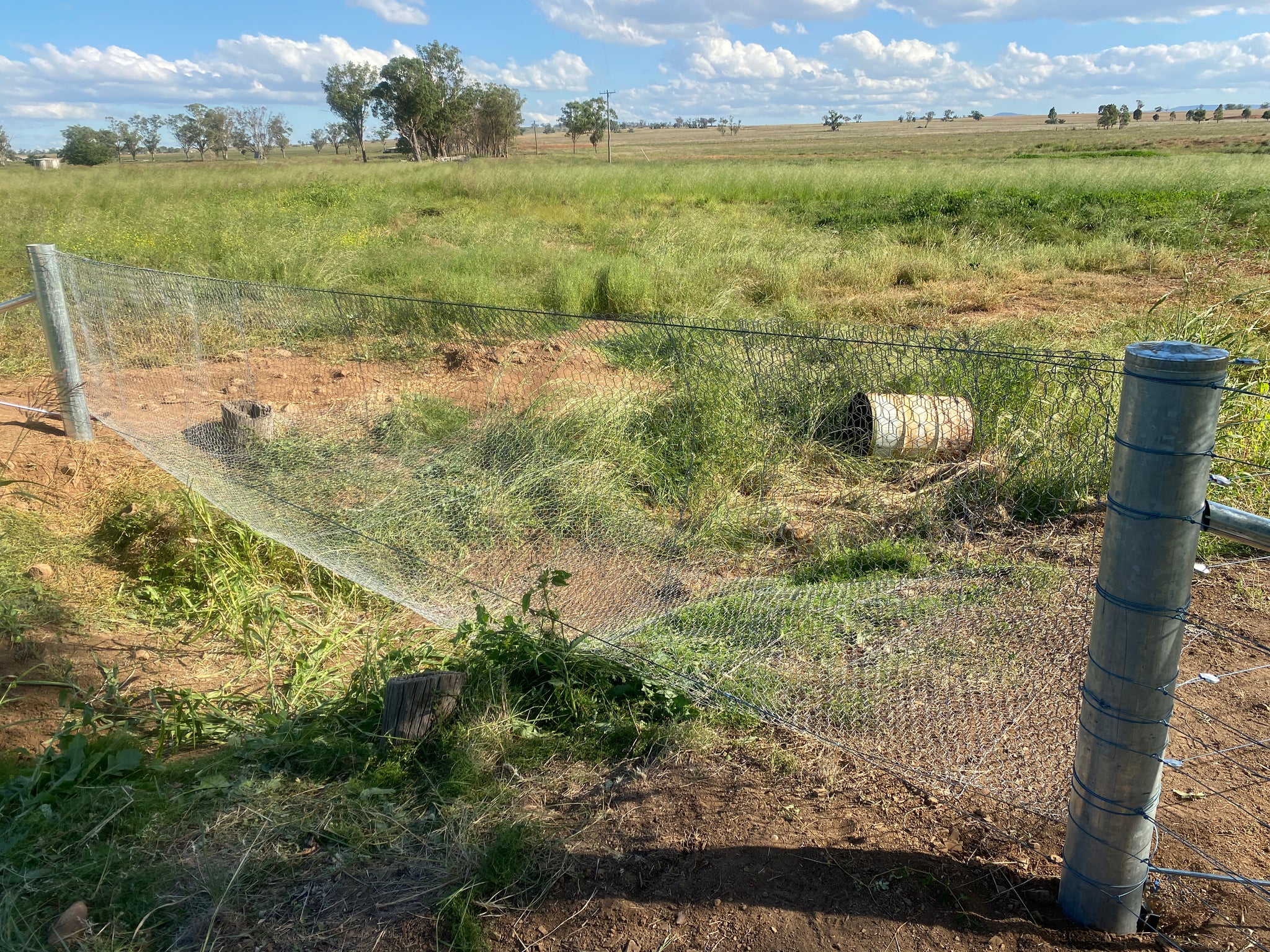Boundary / Internal Fencing – Walters Fencing