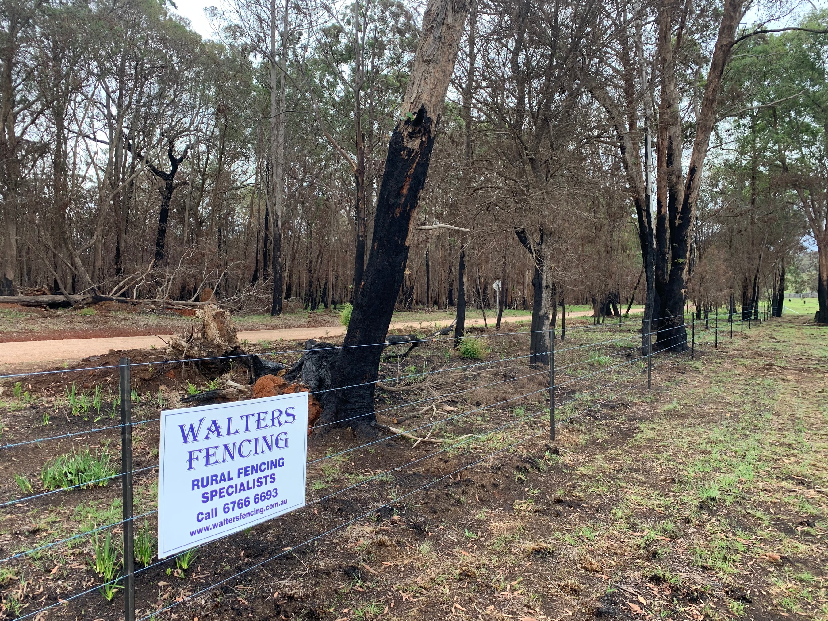 Boundary / Internal Fencing – Walters Fencing